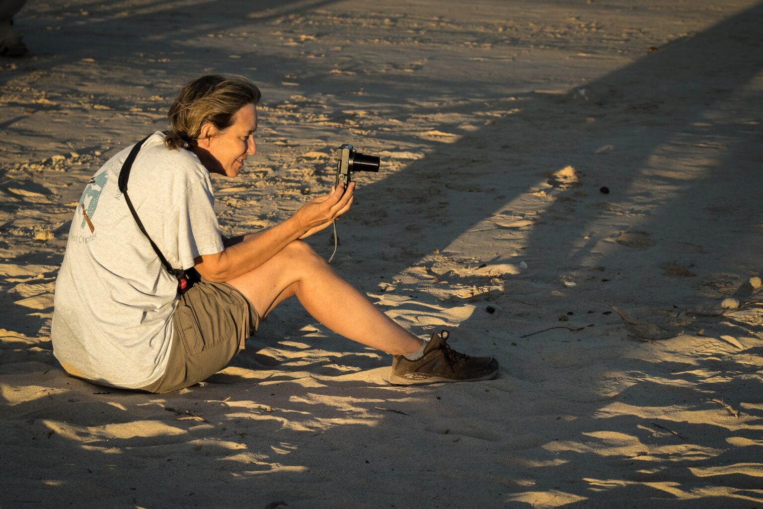Floreana Mockingbird - the rarest of the 4 Galapagos mockingbirds ...