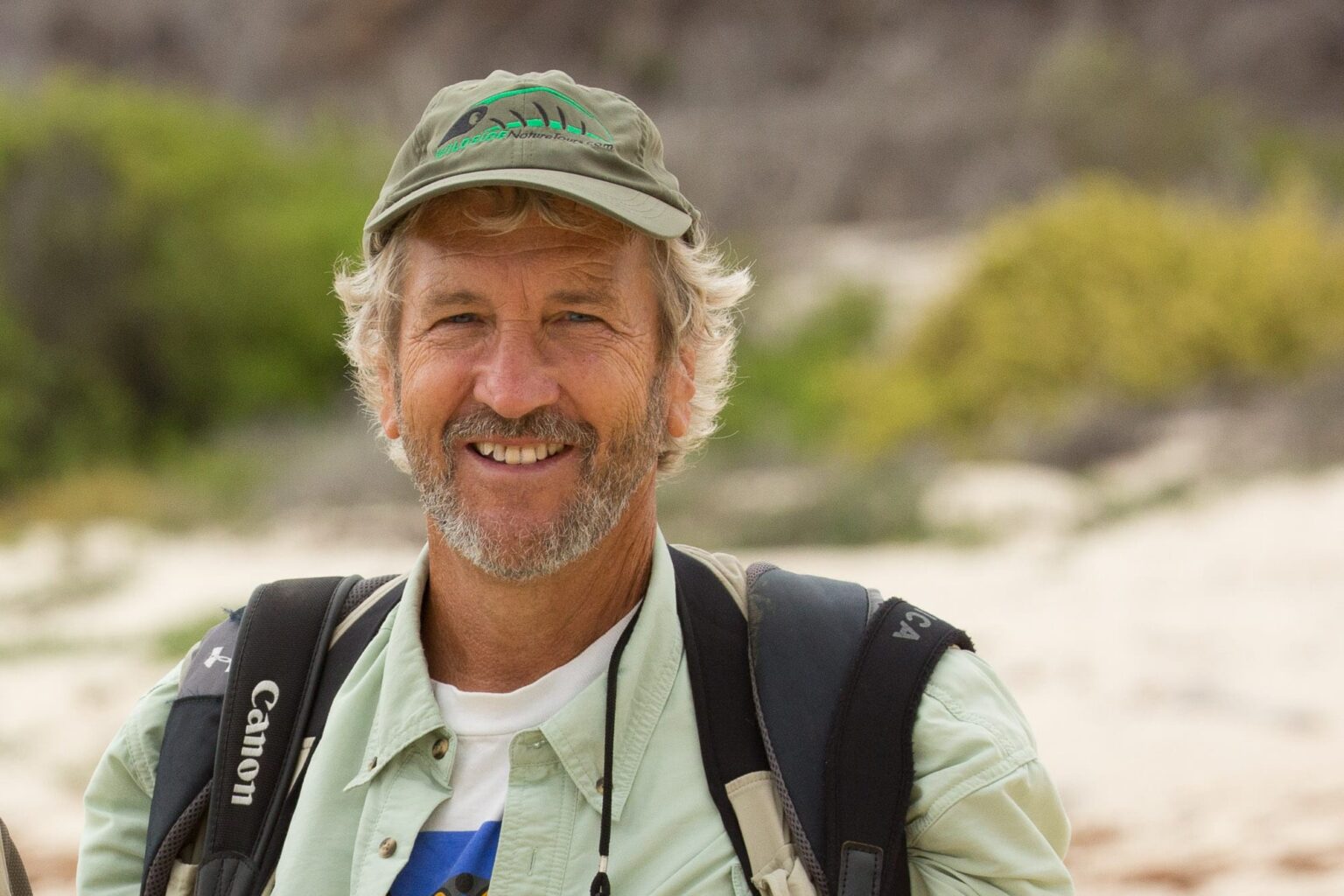 Floreana Mockingbird - the rarest of the 4 Galapagos mockingbirds ...