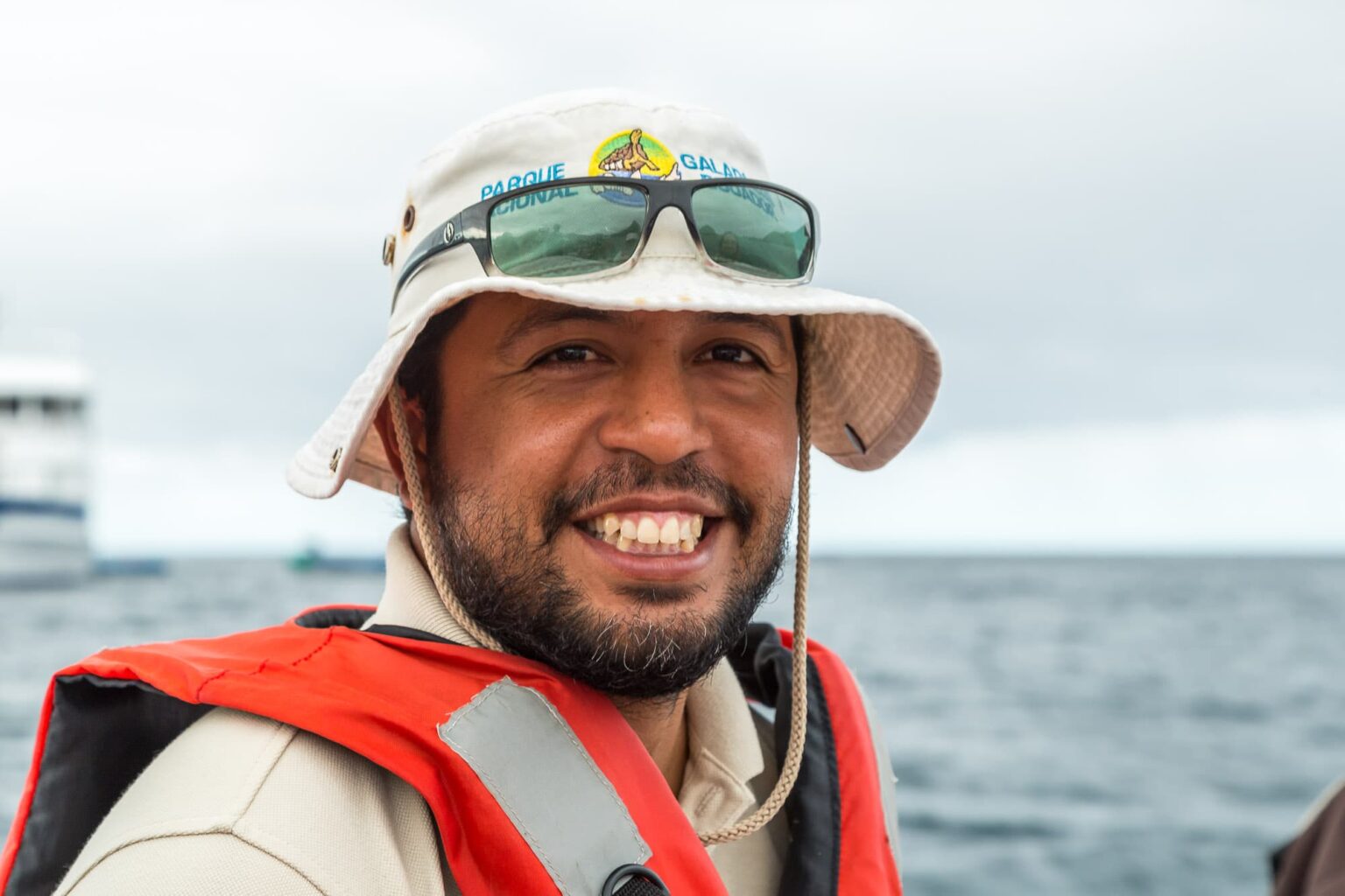 Floreana Mockingbird - the rarest of the 4 Galapagos mockingbirds ...