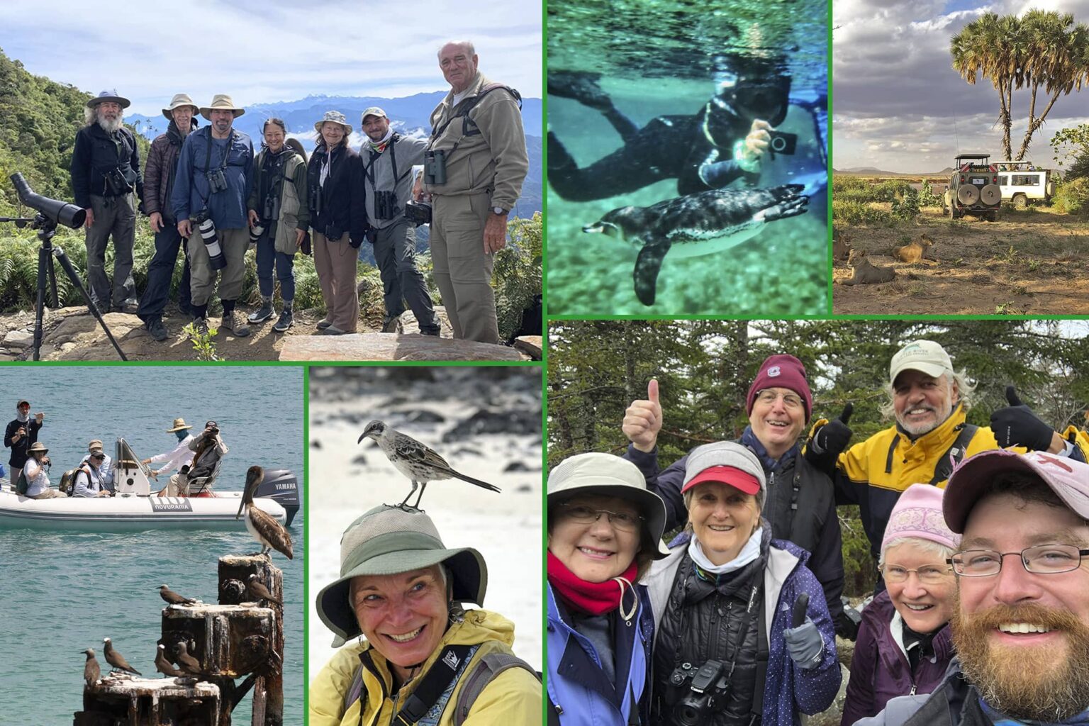 2019 wildside adventures - Wildside Nature Tours