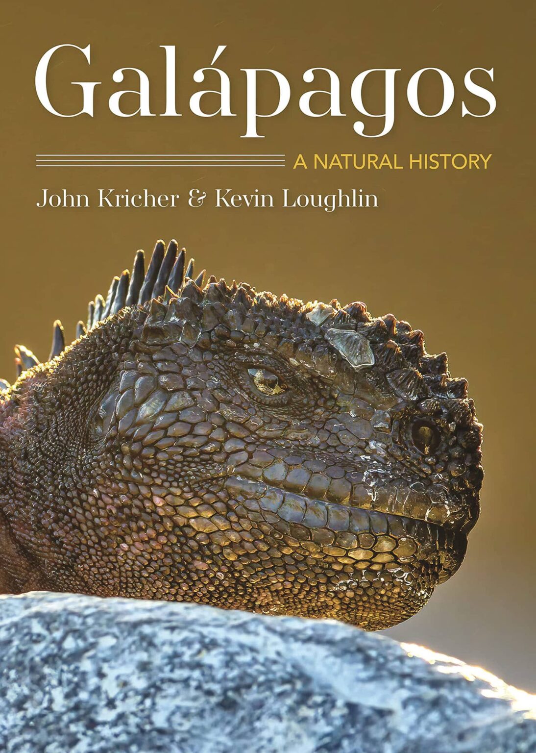 GALAPAGOS 2026-06 Wildlife & Photography Adventures - Wildside Nature Tours